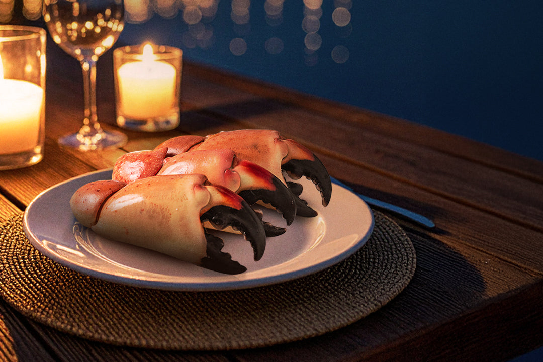 Creative DIY Uses for Crab Shells – Stone Crab