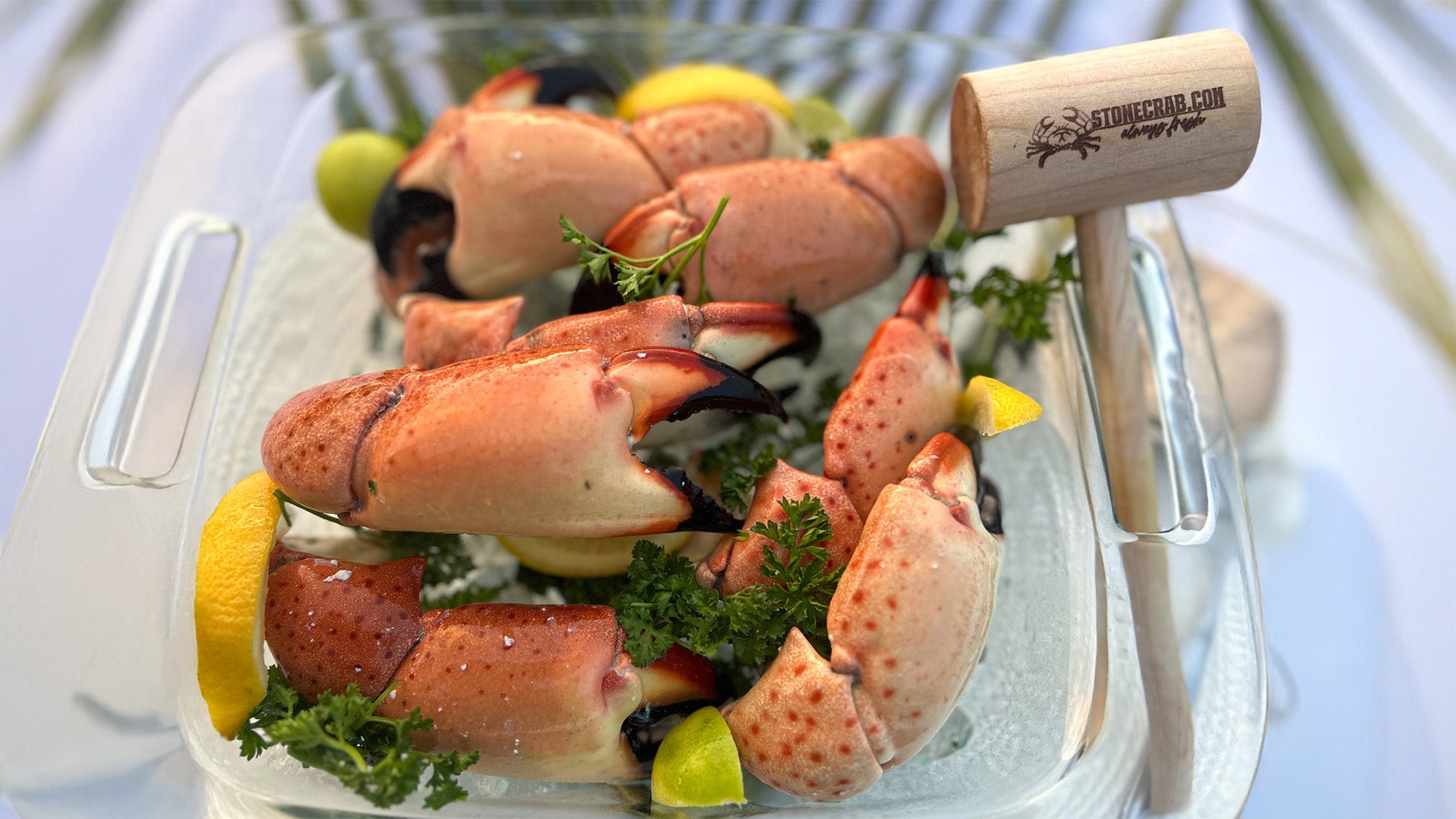 Stone Crab Christmas Gifts – Premium Seafood for the Holidays