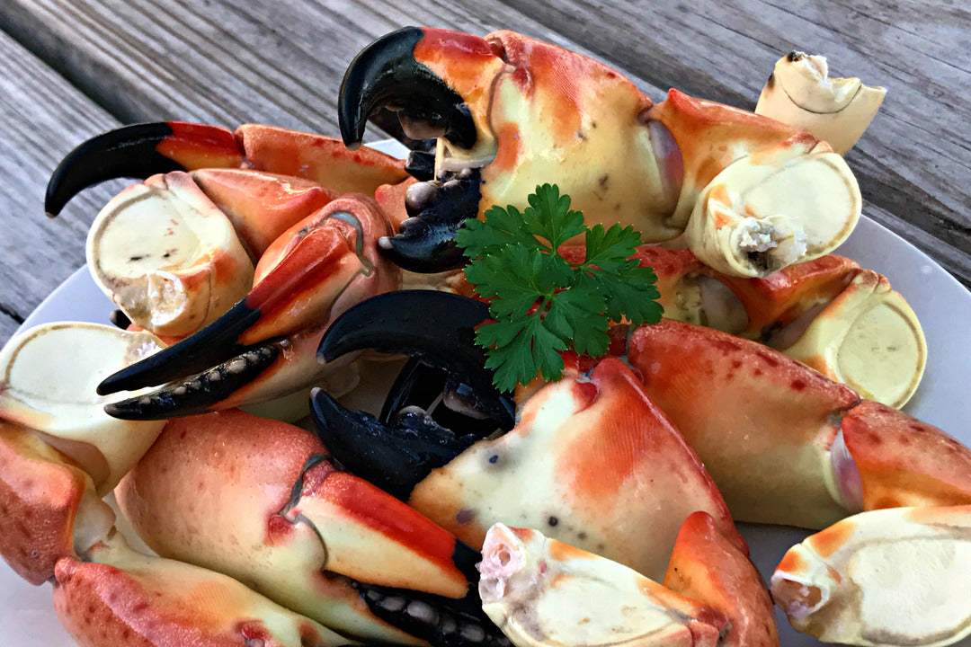 When Is Stone Crab Season in Florida? Your 2025-26 Seafood Calendar