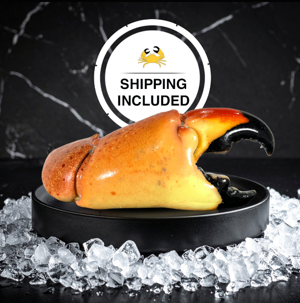 Colossal Stone Crab Claws | Premium Florida Seafood | StoneCrab.com