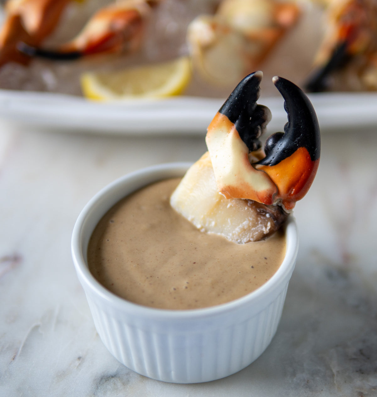 How Stone Crabs Regrow Claws: Regeneration Explained